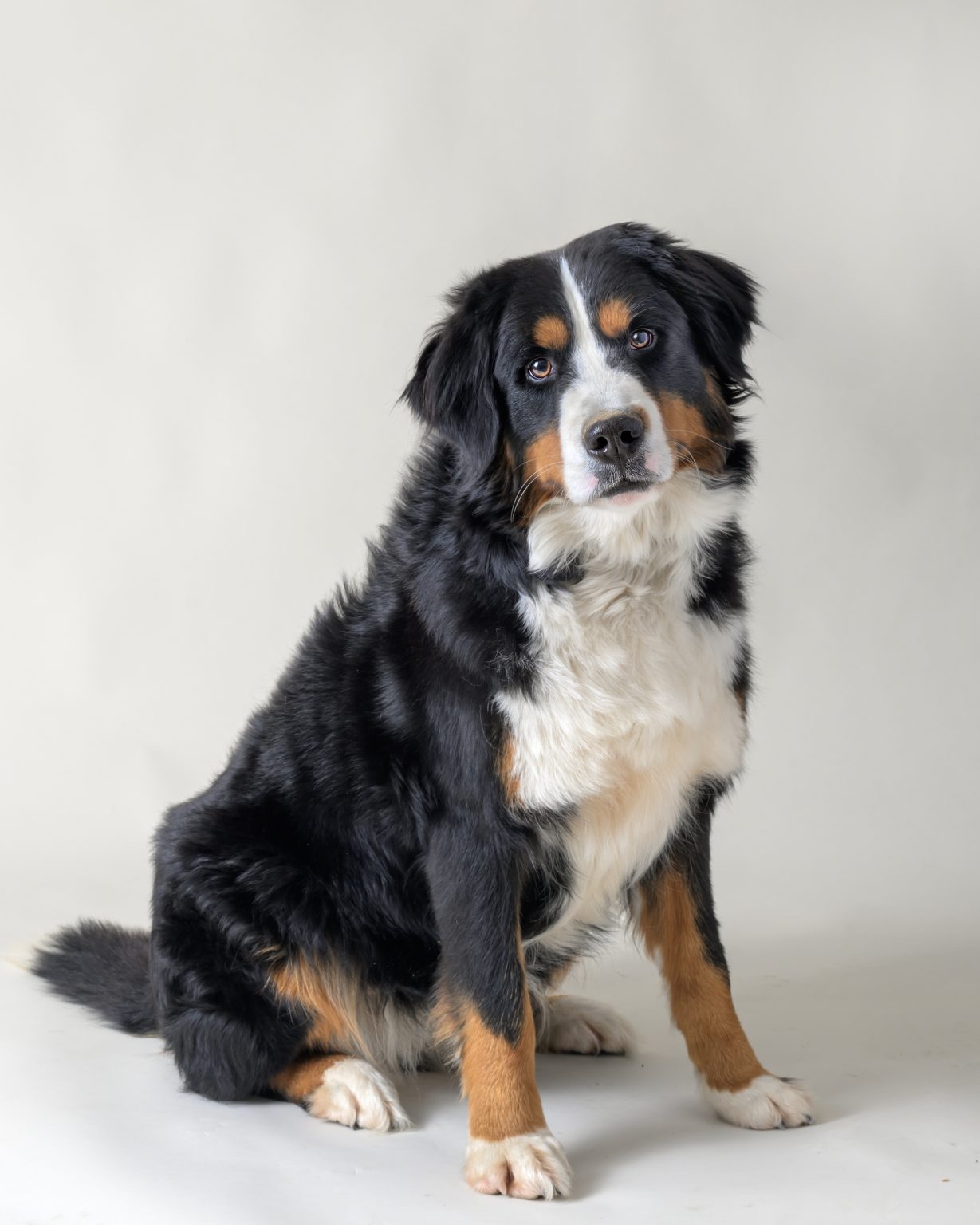 May-1 - Doodle Patch Farm